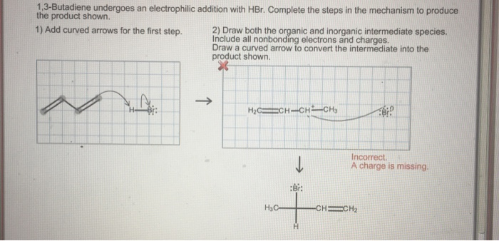 Solved 1,3-Butadiene undergoes an electrophilic addition | Chegg.com