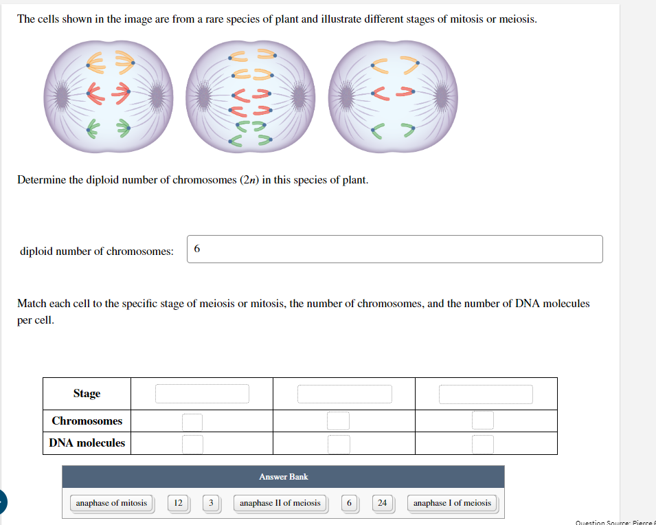 Solved match each cell The cells shown in the image are | Chegg.com