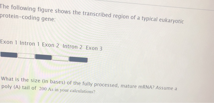 Solved The following figure shows the transcribed region of | Chegg.com