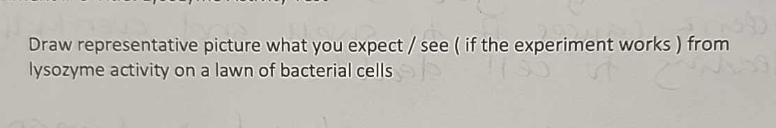 Solved Draw representative picture what you expect / ﻿see ( | Chegg.com