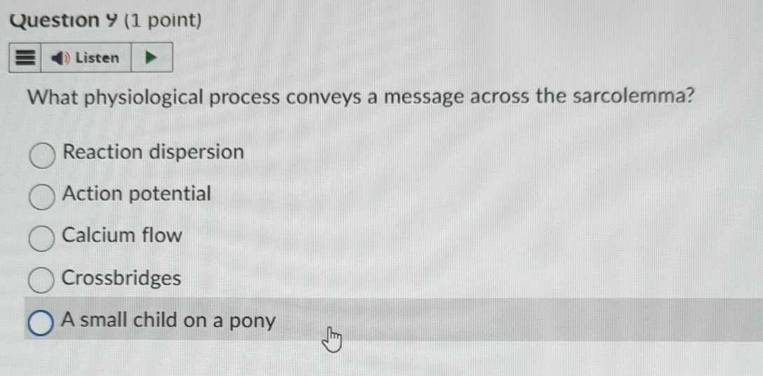 Solved Question Y (1 ﻿point)ListenWhat physiological process | Chegg.com