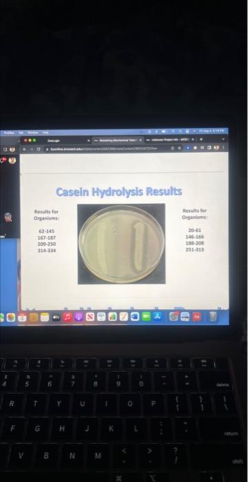 Solved Casein Hydrolysis Results Results for Organitms: | Chegg.com