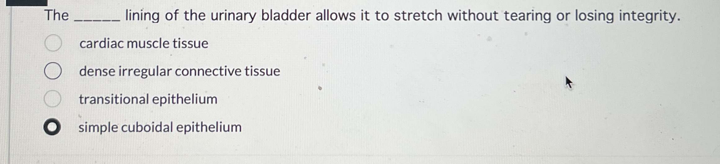 The ﻿lining of the urinary bladder allows it to | Chegg.com
