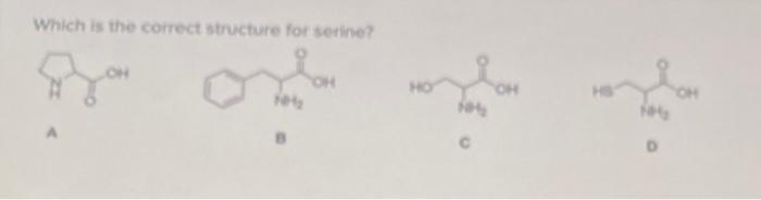 Solved Which is the correct structure for serine? A B C b | Chegg.com