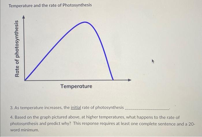 Solved Rate of Photosynthesis: Limiting Factors The primary | Chegg.com