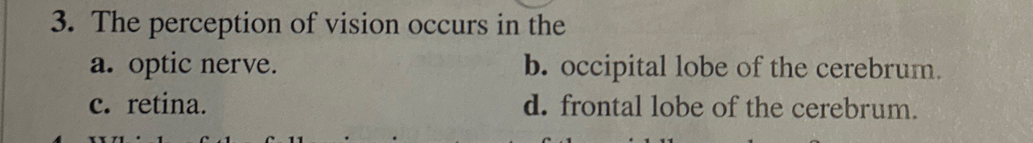 Solved The perception of vision occurs in thea. ﻿optic | Chegg.com