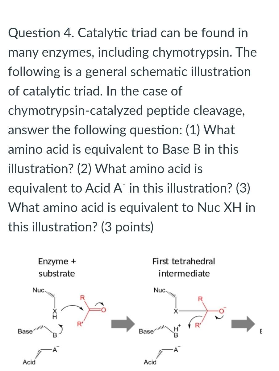 Solved Question 4. Catalytic triad can be found in many | Chegg.com