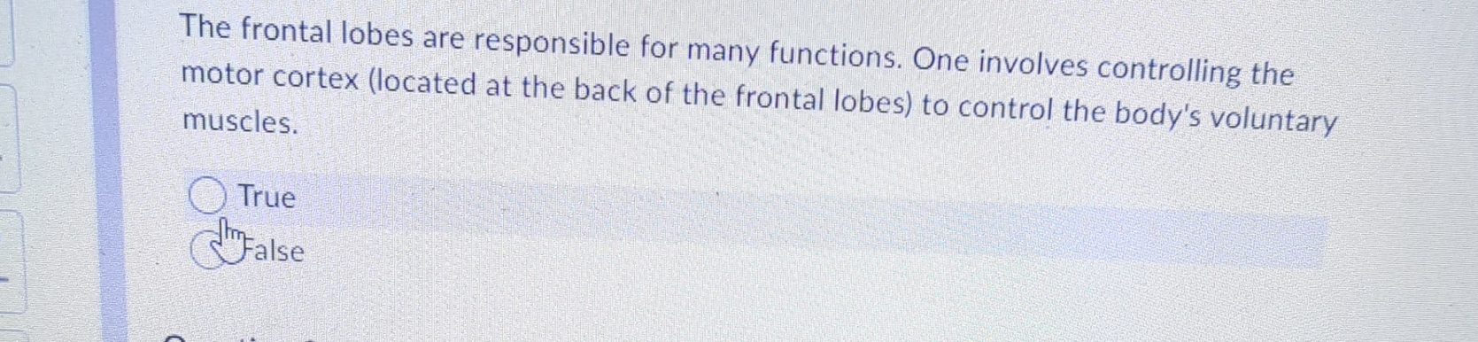 Solved The frontal lobes are responsible for many functions. | Chegg.com