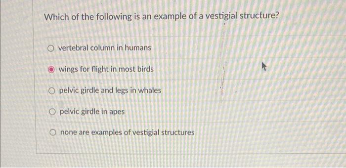 Solved Which of the following is an example of a vestigial | Chegg.com