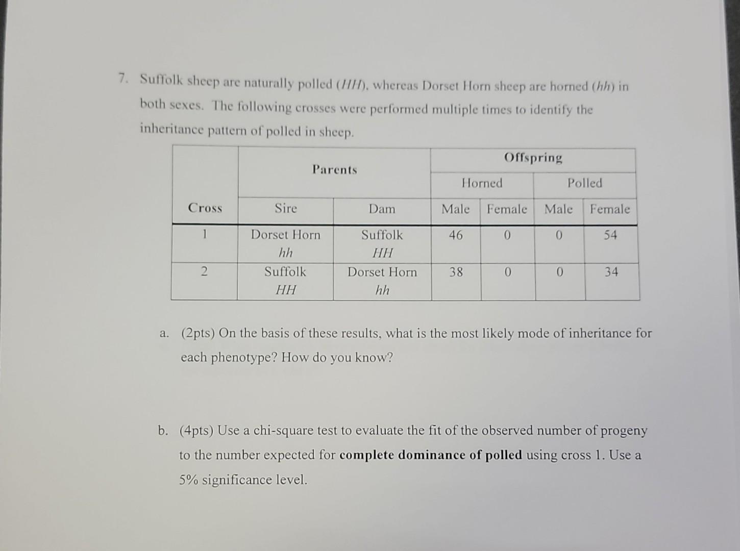 Solved 7. Suffolk sheep are naturally polled (III), whereas | Chegg.com