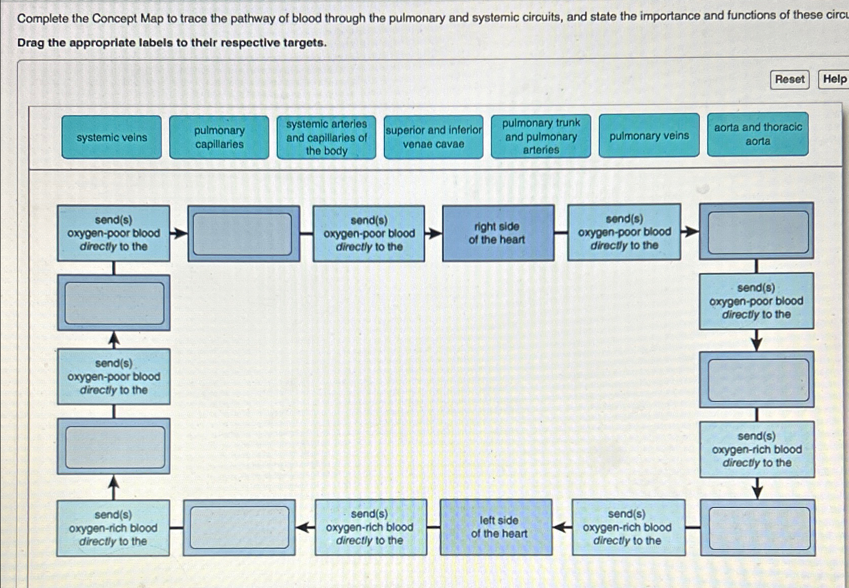 Solved Complete the Concept Map to trace the pathway of | Chegg.com