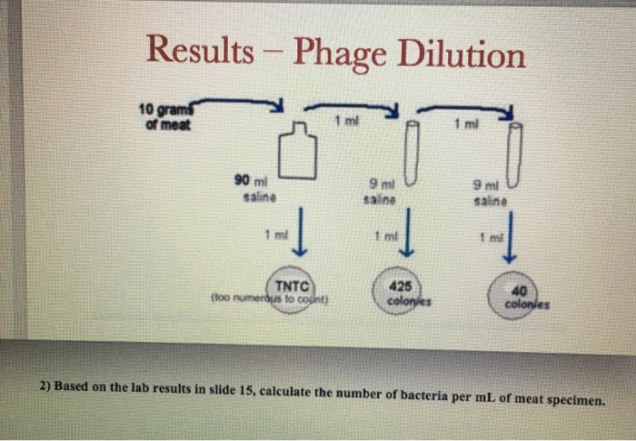 Results - Phage Dilution 10 grams of meat 1 ml 1 ml | Chegg.com