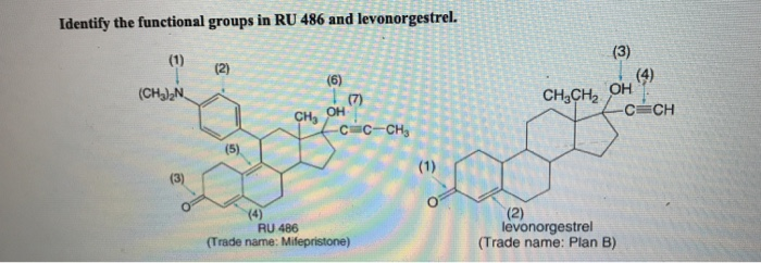 Solved Identify the functional groups in RU 486 and | Chegg.com
