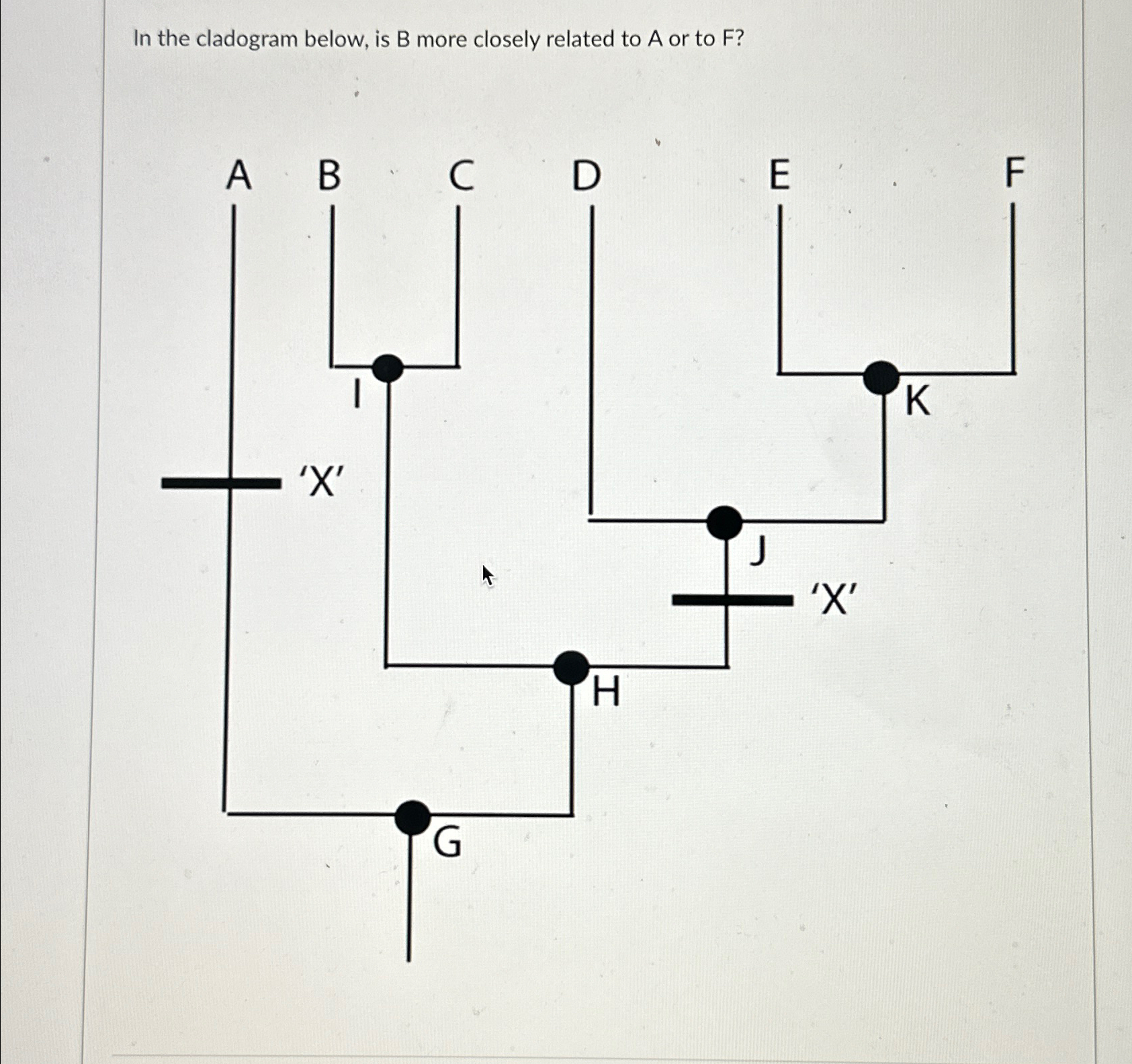 Solved In the cladogram below, is B more closely related to | Chegg.com