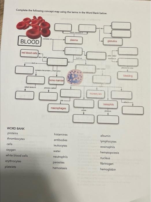 Solved complete the following concept map using the terms in | Chegg.com