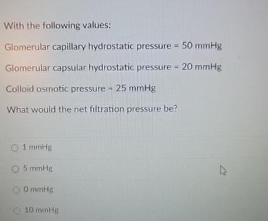 Solved With the following values:Glomerular capillary | Chegg.com