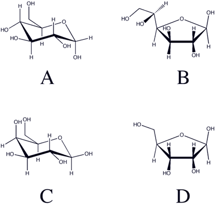 Solved Which structure is a ketose?a. Ab. Bc. Cd. De. None | Chegg.com
