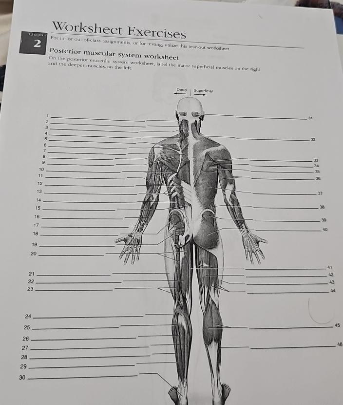 Solved Worksheet ExercisesFor in-or out-of-class | Chegg.com