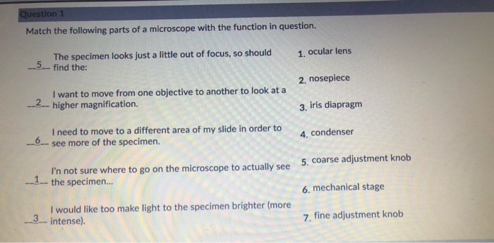 Solved Question 1 Match the following parts of a microscope | Chegg.com