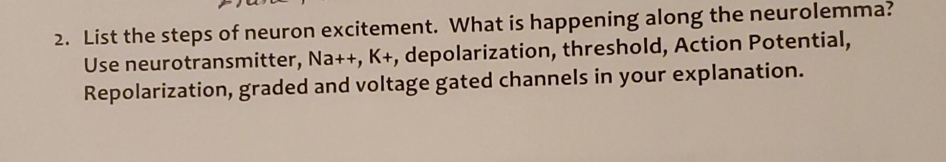 Solved 2. List the steps of neuron excitement. What is | Chegg.com