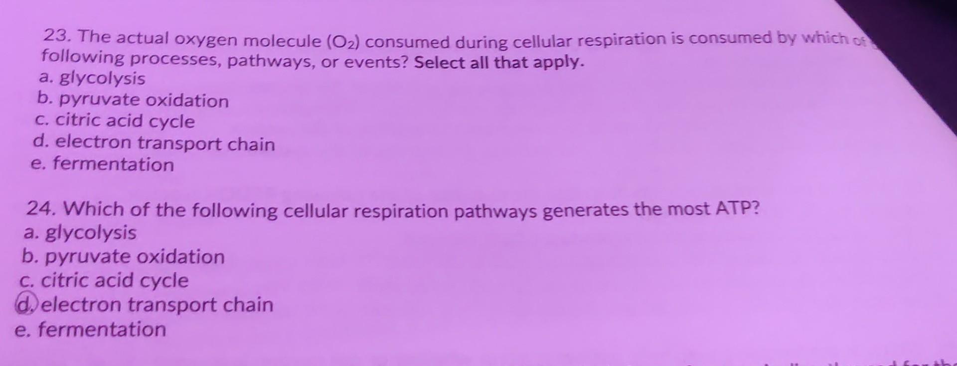 Solved 23. The actual oxygen molecule (O2) consumed during | Chegg.com