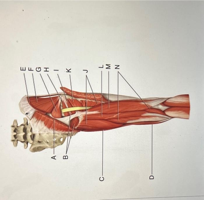 Solved can someone please help me label this? | Chegg.com