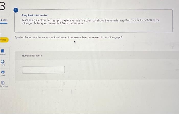 Solved Required information A scanning electron micrograph | Chegg.com