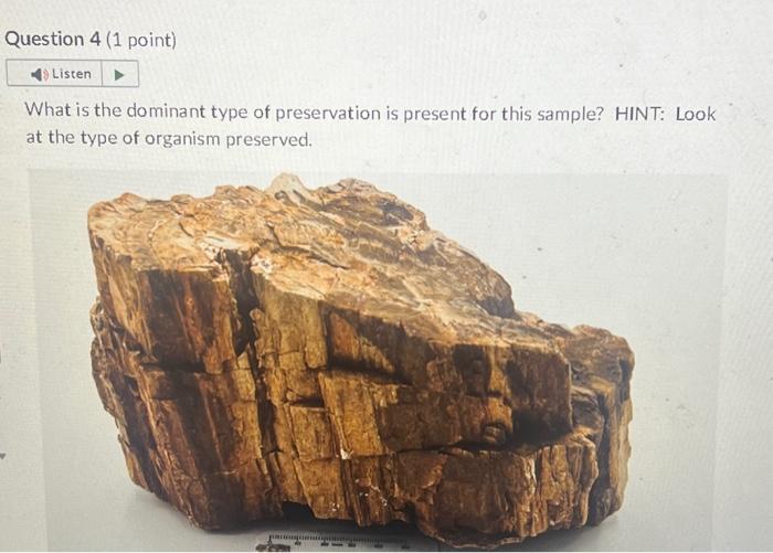 Solved What is the dominant type of preservation is present | Chegg.com