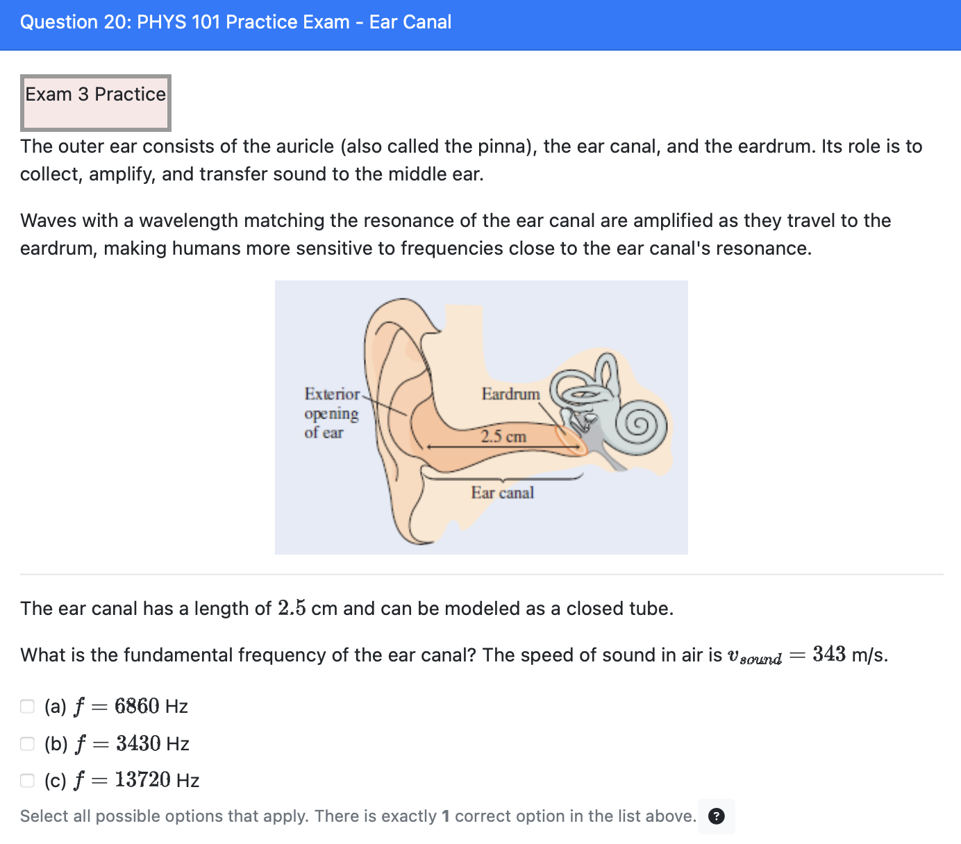 Solved The outer ear consists of the auricle (also called | Chegg.com