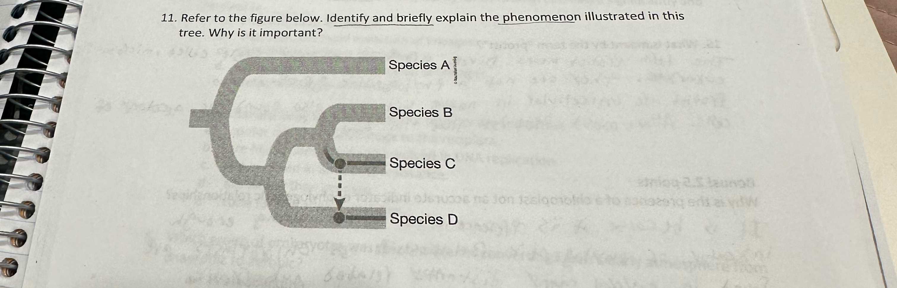 Solved Refer to the figure below. Identify and briefly | Chegg.com
