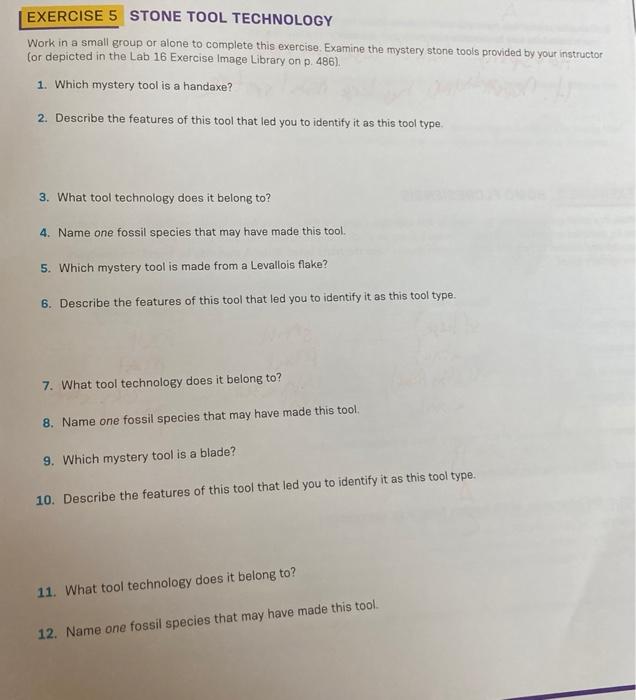 STONE TOOL TECHNOLOGY Work in a small group or alone | Chegg.com