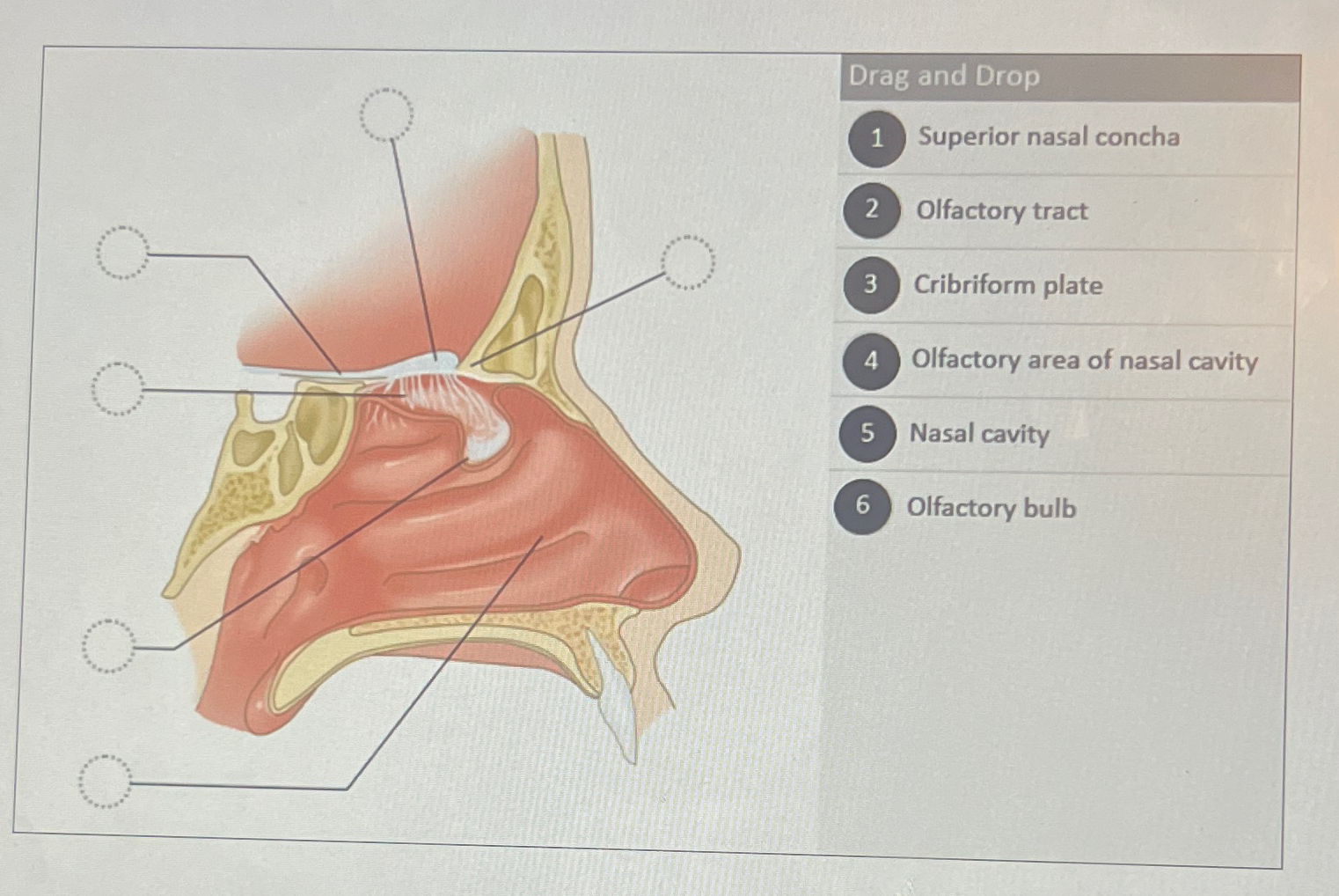 Solved please label these for me | Chegg.com