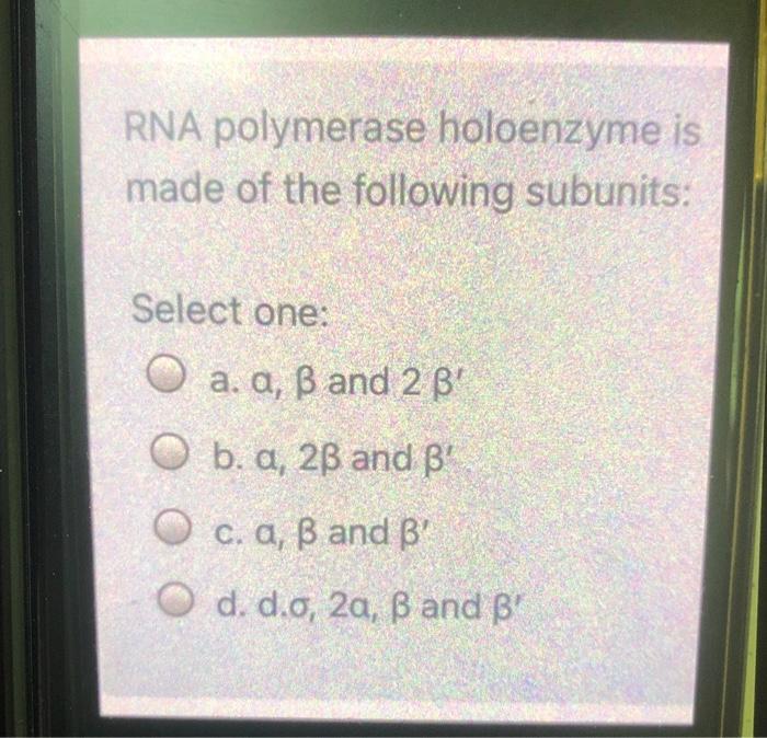 Solved RNA polymerase holoenzyme is made of the following | Chegg.com