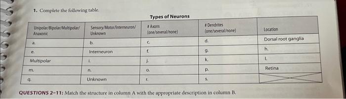 Solved 1. Complete the following table. QUESTIONS 2-11: | Chegg.com