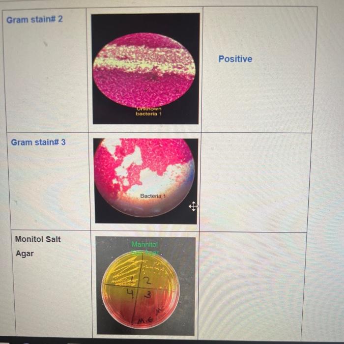 Solved 3. Identify the GENUS and SPECIES of the "pathogen" | Chegg.com