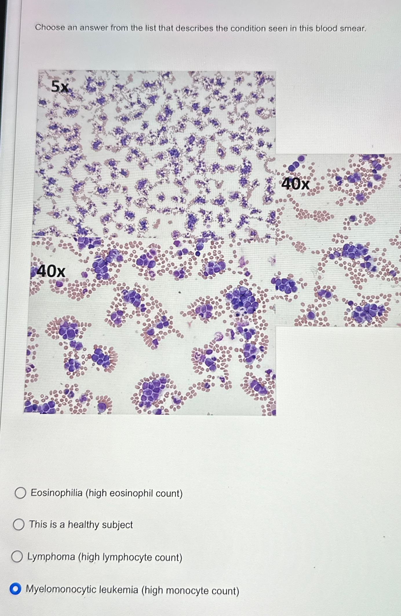 Solved Choose an answer from the list that describes the | Chegg.com