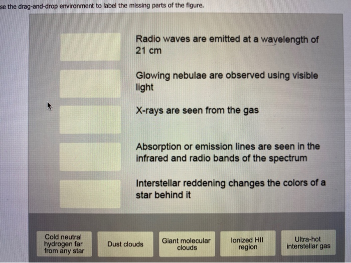 Solved se the drag-and-drop environment to label the missing | Chegg.com