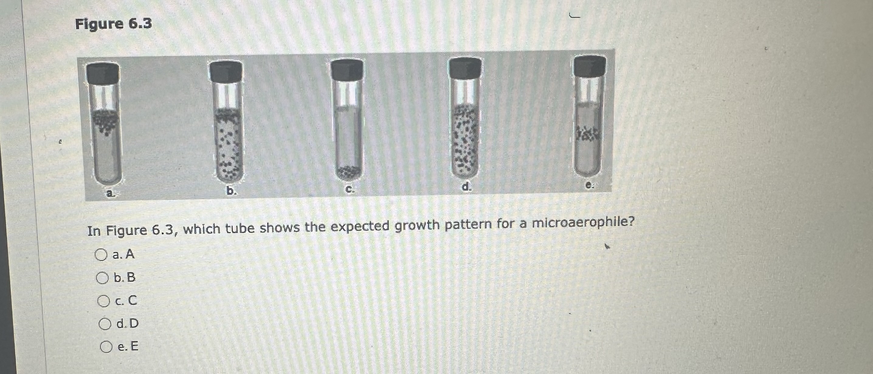 Solved Figure 6.3In Figure 6.3 , ﻿which tube shows the | Chegg.com