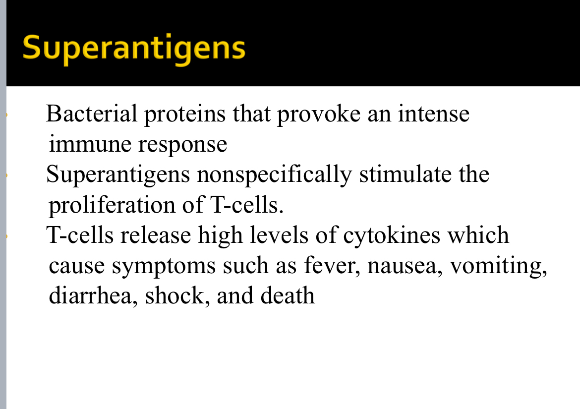 Solved SuperantigensBacterial proteins that provoke an | Chegg.com