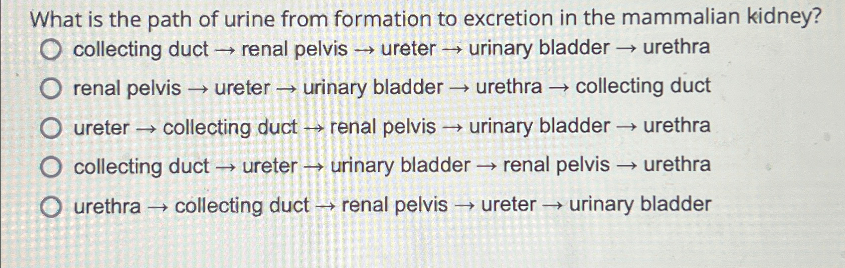Solved What is the path of urine from formation to excretion | Chegg.com