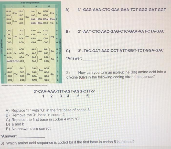 Solved Genetic code activity The sequences below represent | Chegg.com