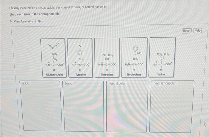 Solved Classify these amino acids as acidic, basic, neutral | Chegg.com