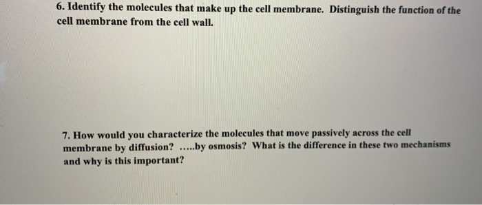 Solved 6. Identify the molecules that make up the cell | Chegg.com
