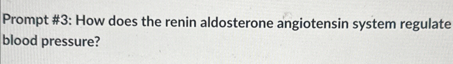 Solved Prompt #3: How does the renin aldosterone angiotensin | Chegg.com
