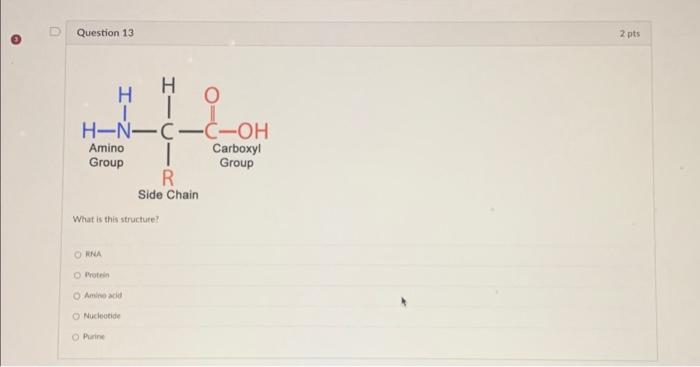 Solved Question 13 H H-N-C-C-OH | R Side Chain Amino Group | Chegg.com