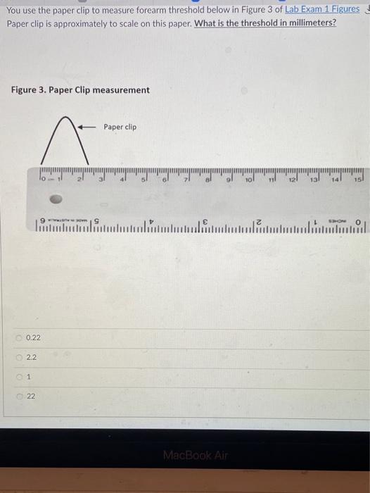 Solved You use the paper clip to measure forearm threshold | Chegg.com