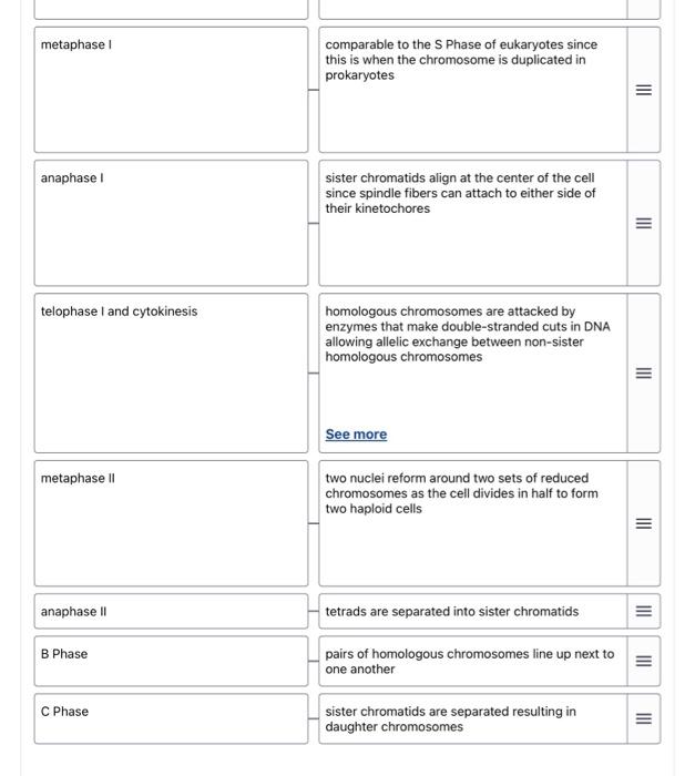 Solved prophase 1 spindle fibers are only able to attach | Chegg.com