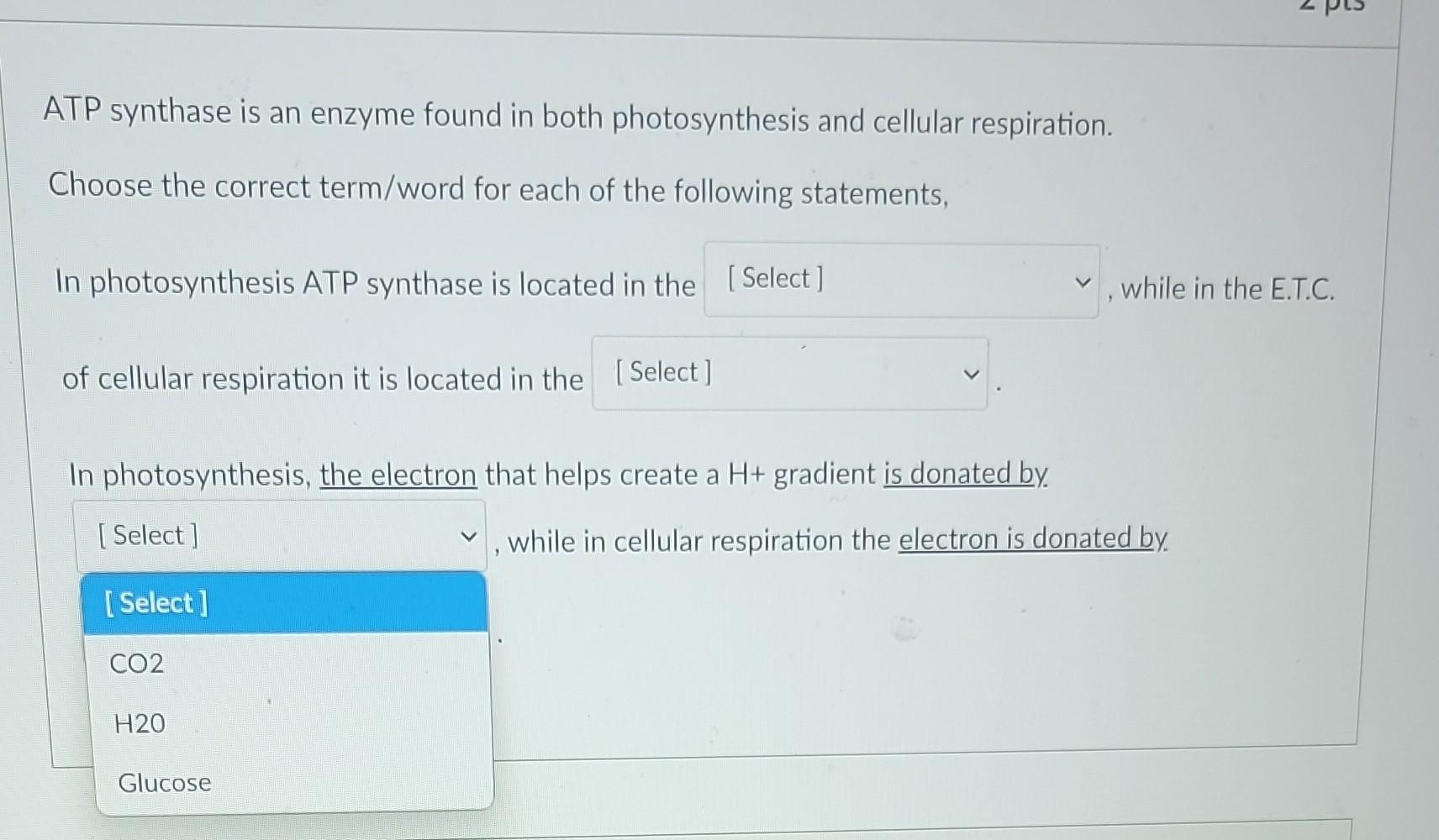 Solved ATP synthase is an enzyme found in both | Chegg.com