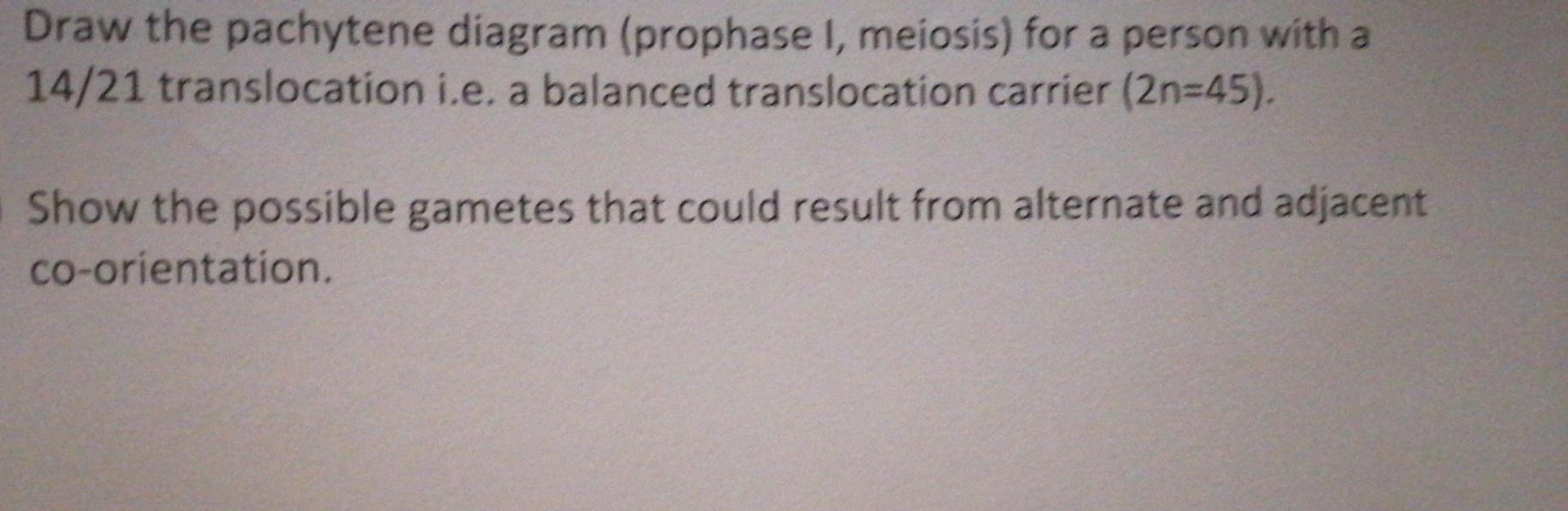 Solved Draw the pachytene diagram (prophase I, meiosis) for | Chegg.com