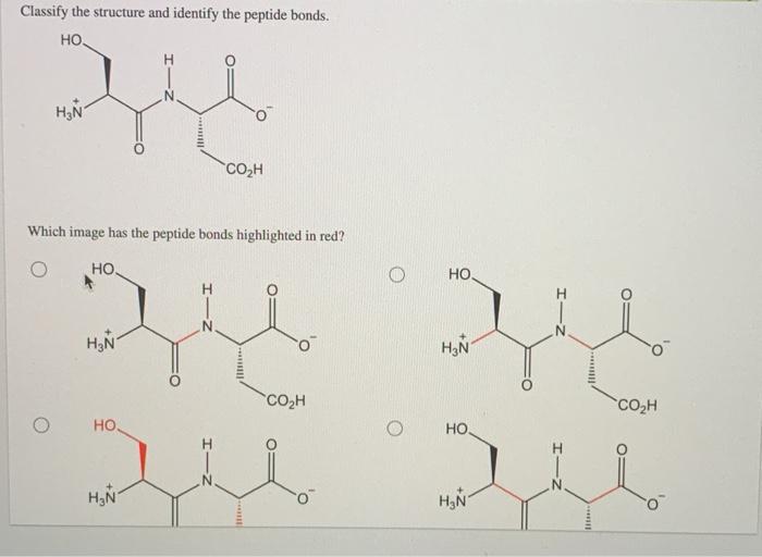 Solved Classify the structure and identify the peptide | Chegg.com